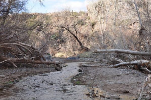 WE TRIED IT! Gabe Zimmerman Davidson Canyon Trailhead - TucsonTopia