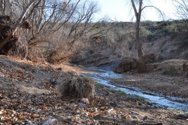 WE TRIED IT! Gabe Zimmerman Davidson Canyon Trailhead - TucsonTopia
