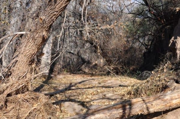 WE TRIED IT! Gabe Zimmerman Davidson Canyon Trailhead - TucsonTopia