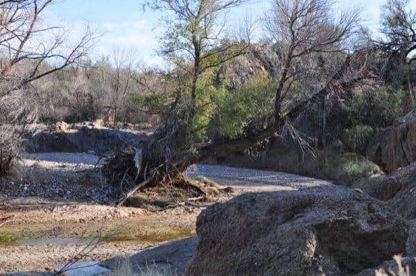 WE TRIED IT! Gabe Zimmerman Davidson Canyon Trailhead - TucsonTopia