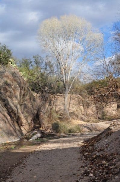 WE TRIED IT! Gabe Zimmerman Davidson Canyon Trailhead - TucsonTopia