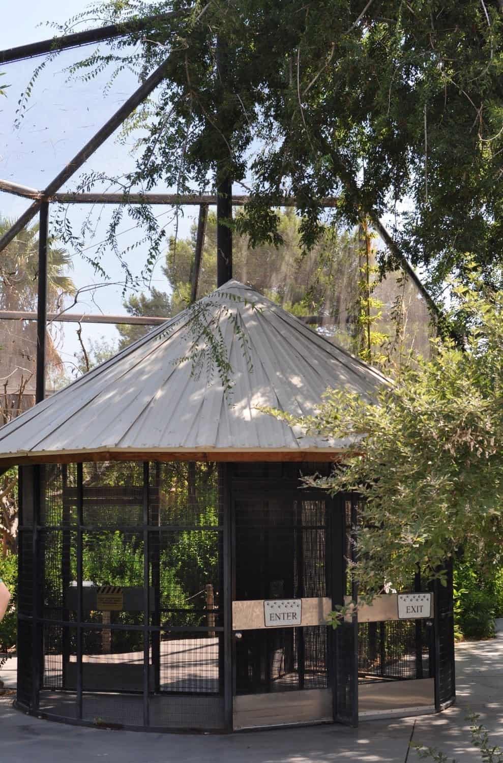 Everything You Need to Know Before You Visit Reid Park Zoo