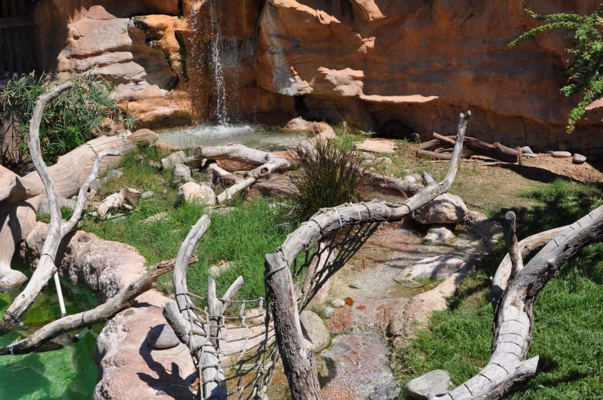 Everything You Need to Know Before You Visit Reid Park Zoo