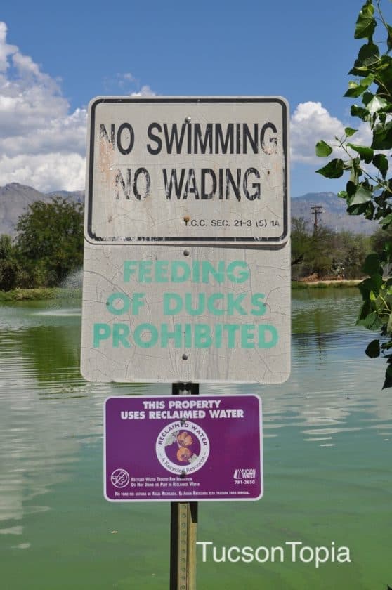 Park Profile: Fort Lowell Park | TucsonTopia