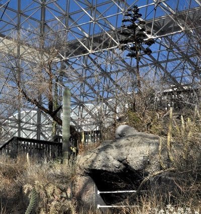 Everything You Need To Know Before You Visit Biosphere 2