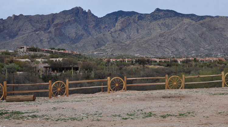 45 razones para mudarse a Tucson (¡o para alegrarse de vivir aquí ...