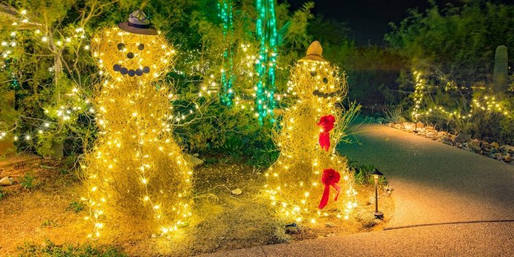 Holiday Lights in Tucson 2024 | TucsonTopia