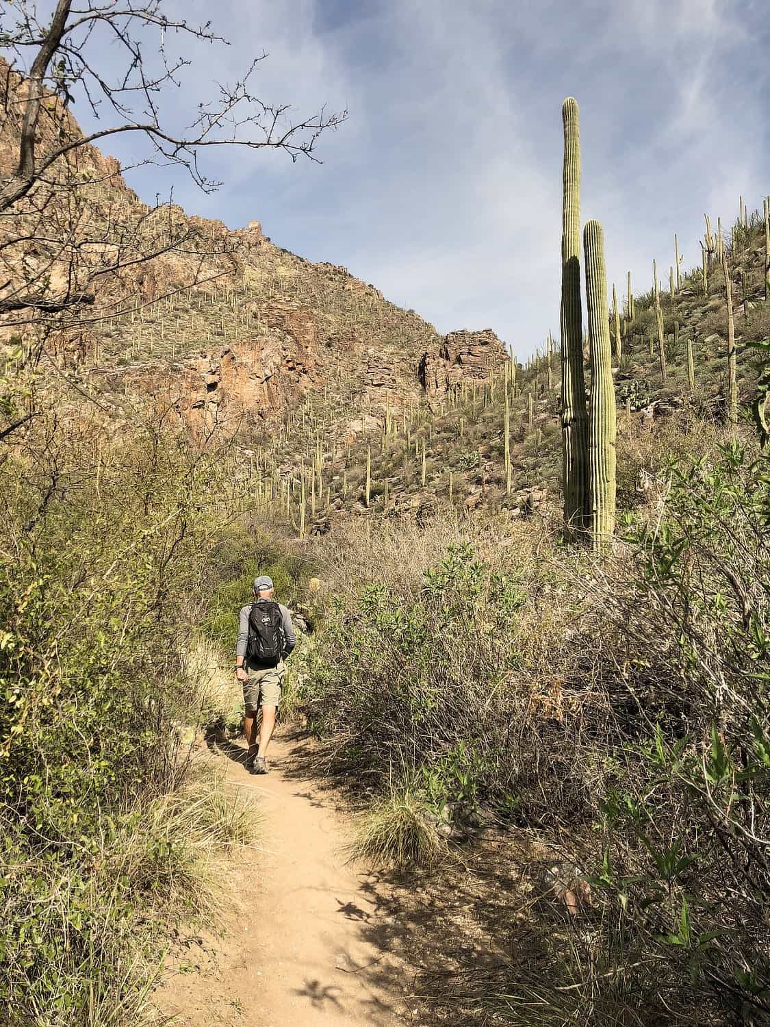 Ventana Canyon Trail: A Hiking Guide | TucsonTopia