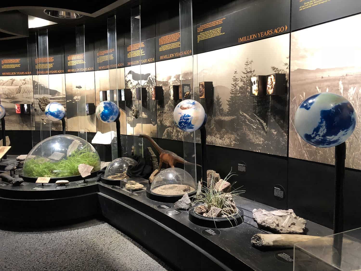 Arizona-Sonora Desert Museum Guide - Tickets, Parking, Exhibits ...