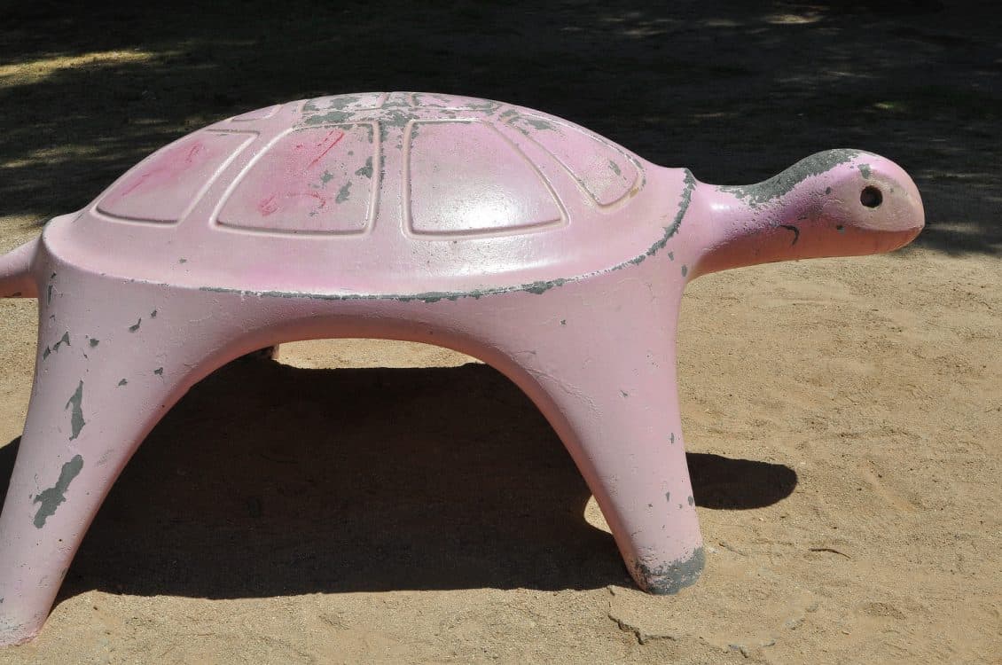 Park Profile: Gene C. Reid Park | TucsonTopia