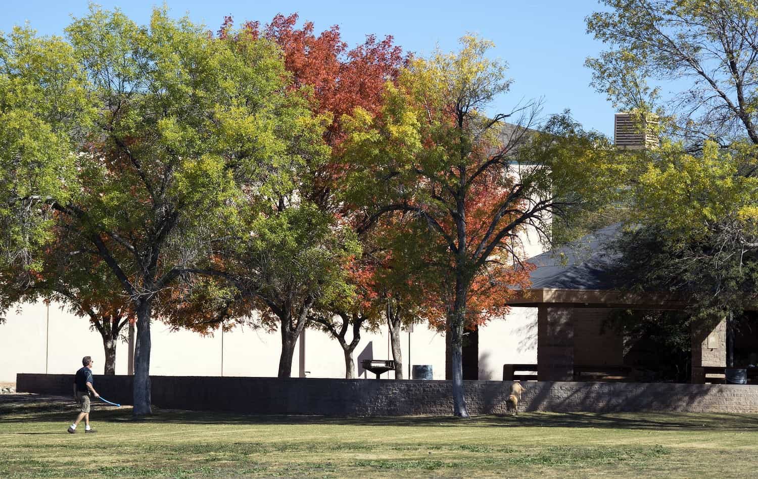 Park Profile: Morris K. Udall Park | TucsonTopia