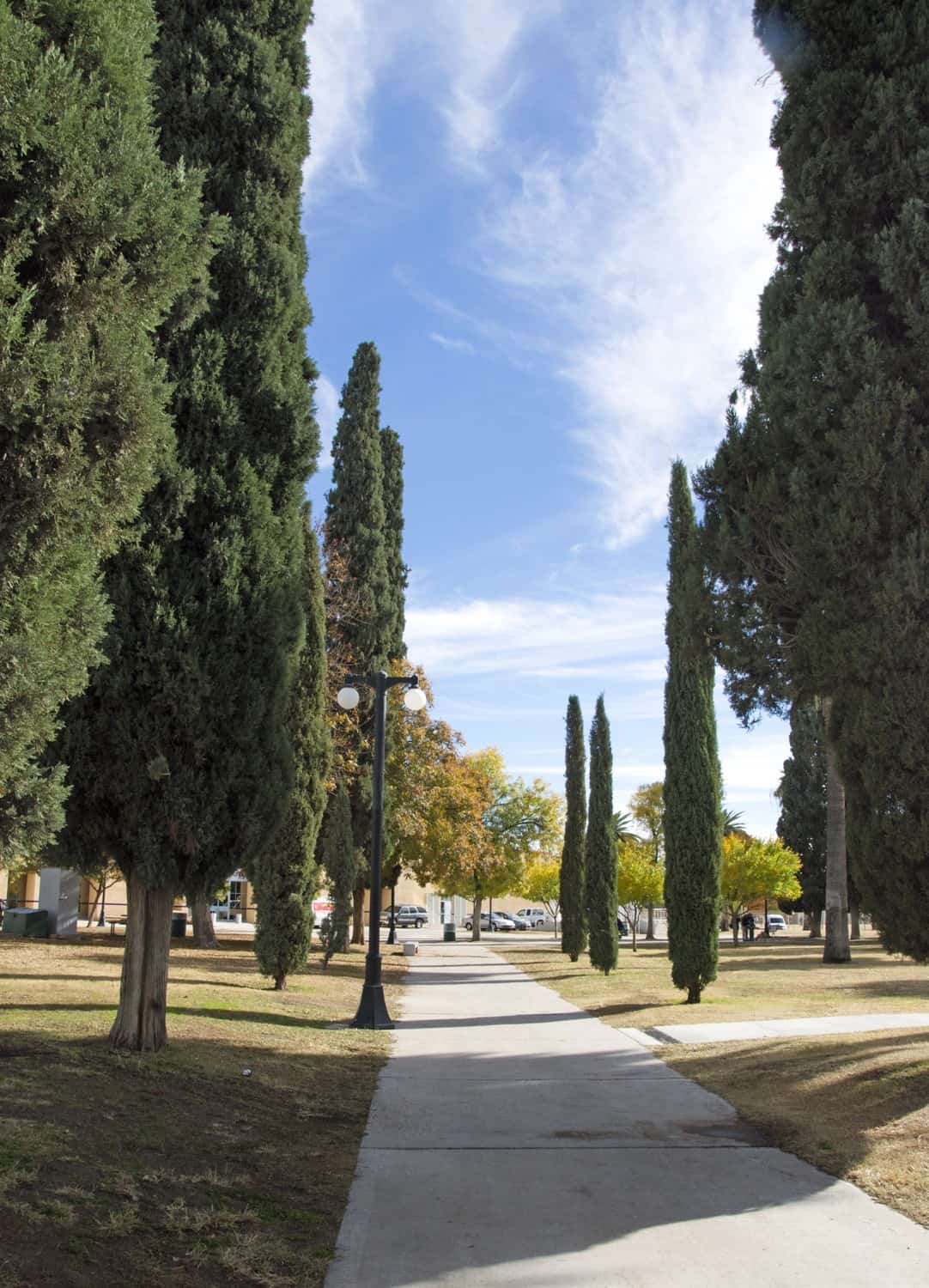 Park Profile: Armory Park | TucsonTopia