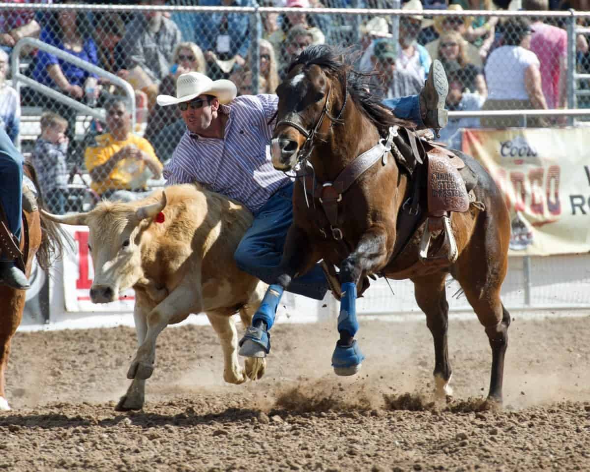 Tucson Rodeo Guide - Tickets, Parking, Barn Dances, Parade | TucsonTopia