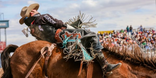 Tucson Rodeo Guide - Tickets, Parking, Barn Dances, Parade | TucsonTopia