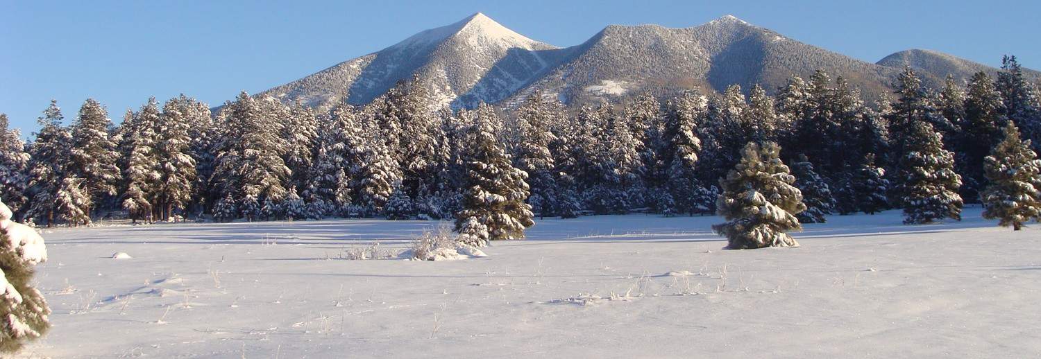 Road Trip Guide: Tucson to Flagstaff | TucsonTopia