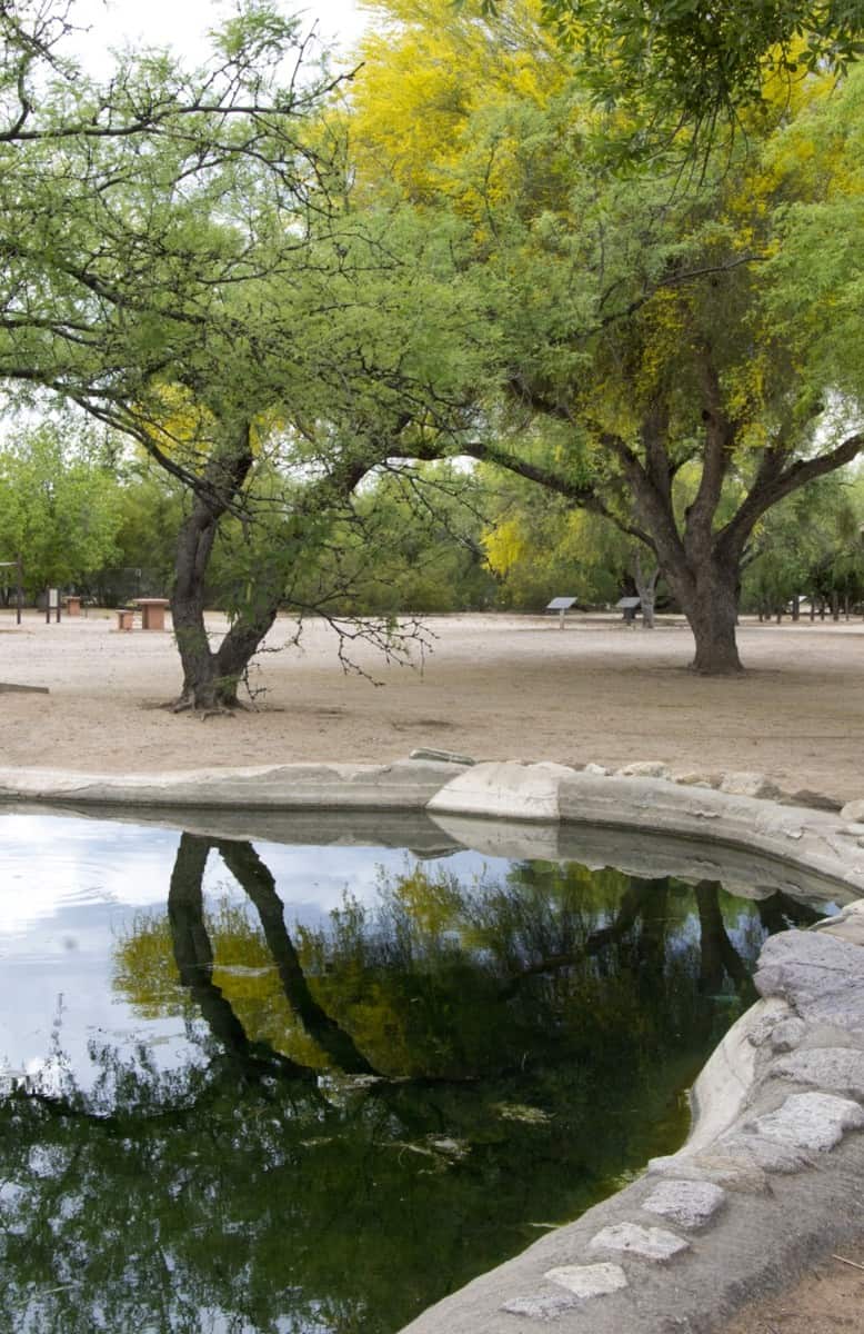 Park Profile: Fort Lowell Park | TucsonTopia