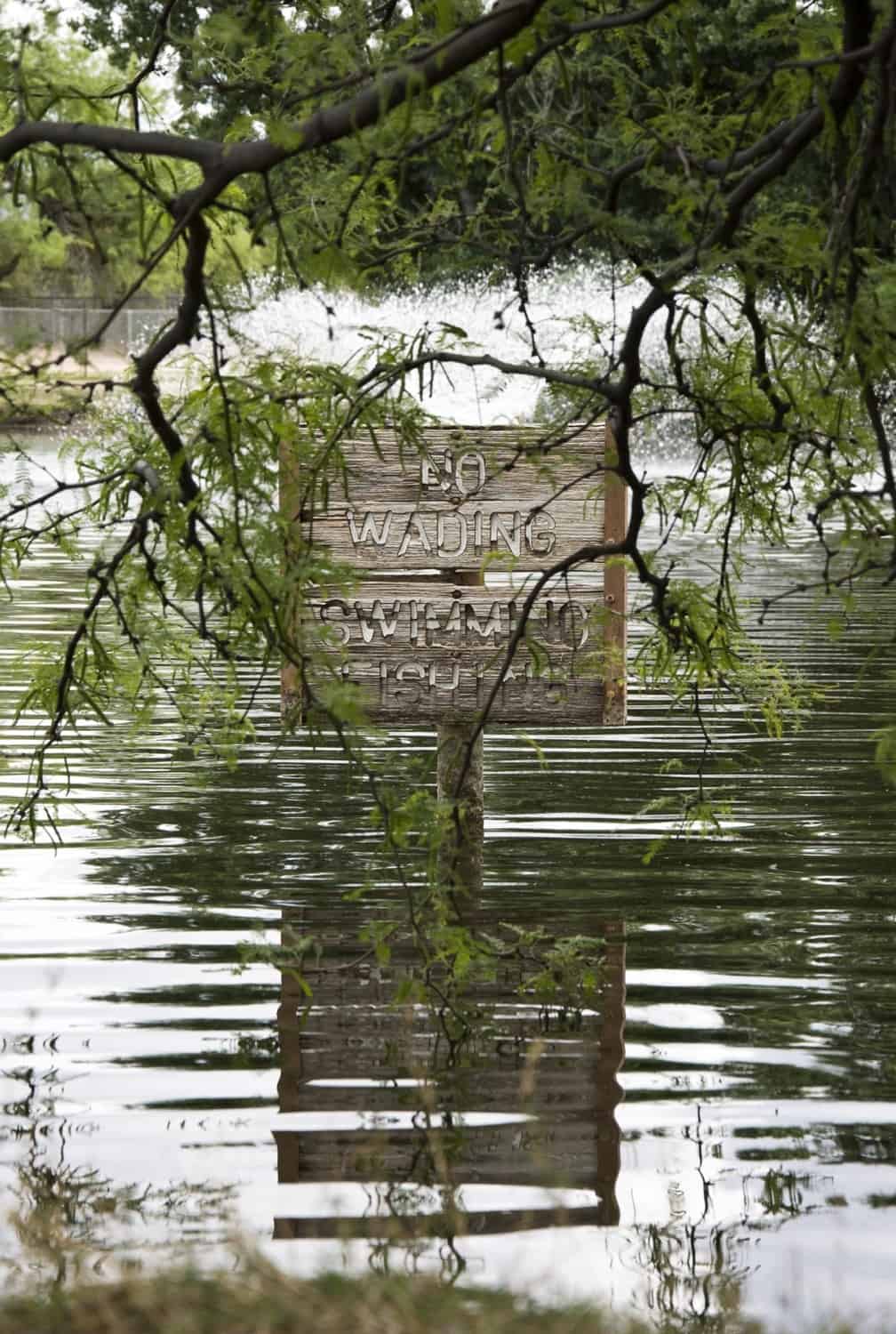 Park Profile: Fort Lowell Park | TucsonTopia