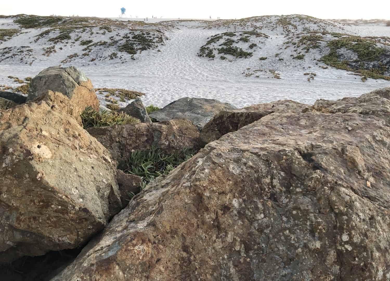 ROAD TRIP: Tucson to San Diego | TucsonTopia