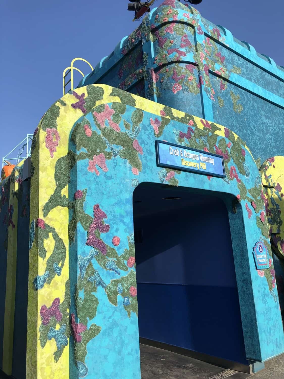 Complete Guide to SeaWorld San Diego | TucsonTopia