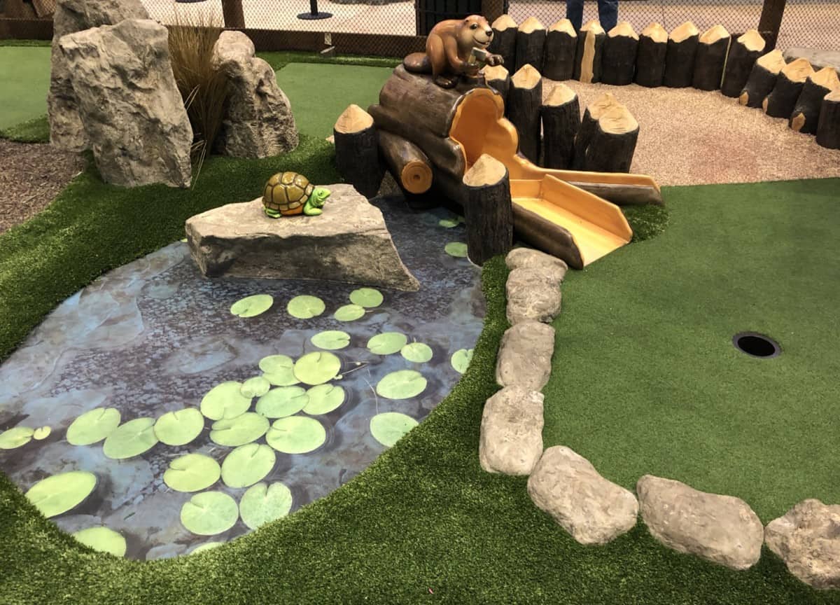 Great Wolf Lodge Arizona: Complete Guide | TucsonTopia