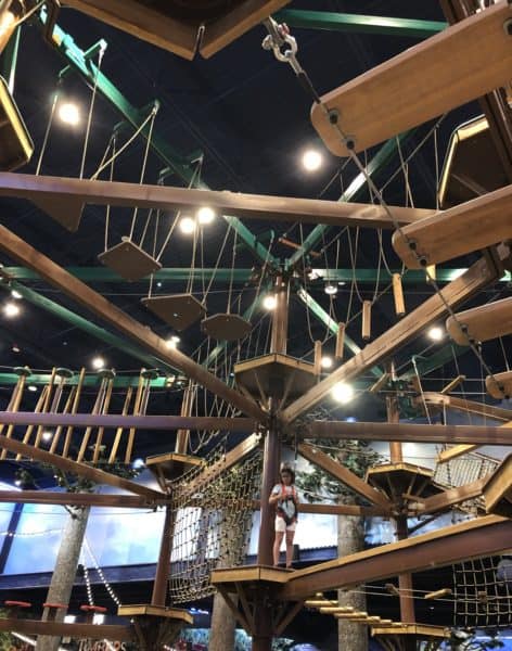 Great Wolf Lodge Arizona: Complete Guide | TucsonTopia