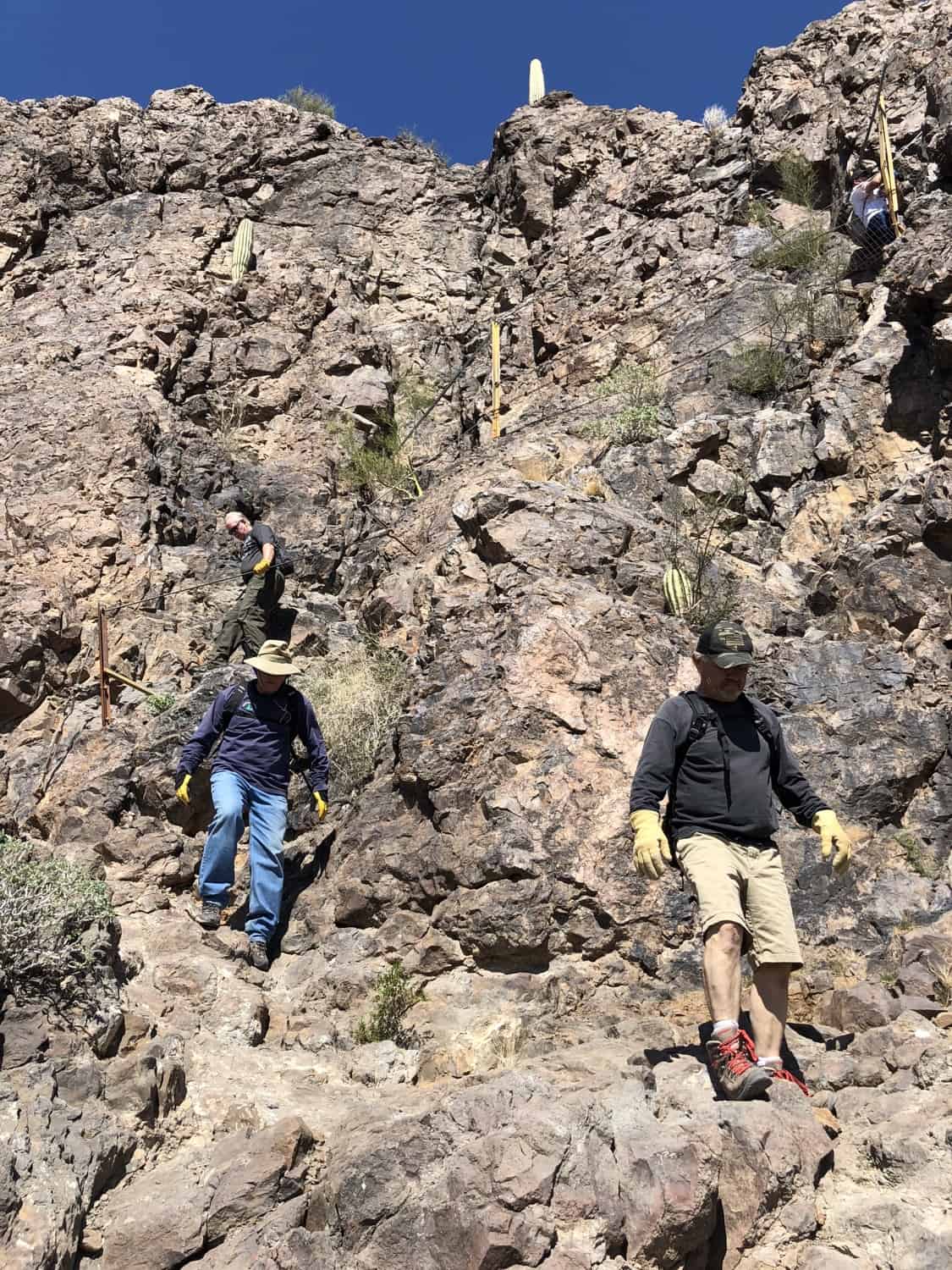 Picacho Peak State Park: A Guide | TucsonTopia