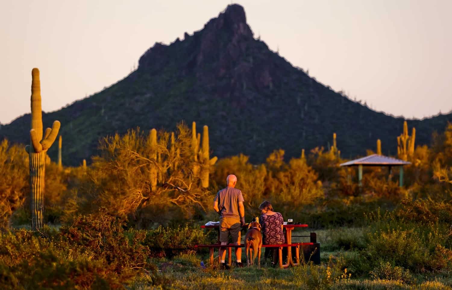 Picacho Peak State Park – Ausflugsziele im Picacho Peak State Park – ZOBZQD