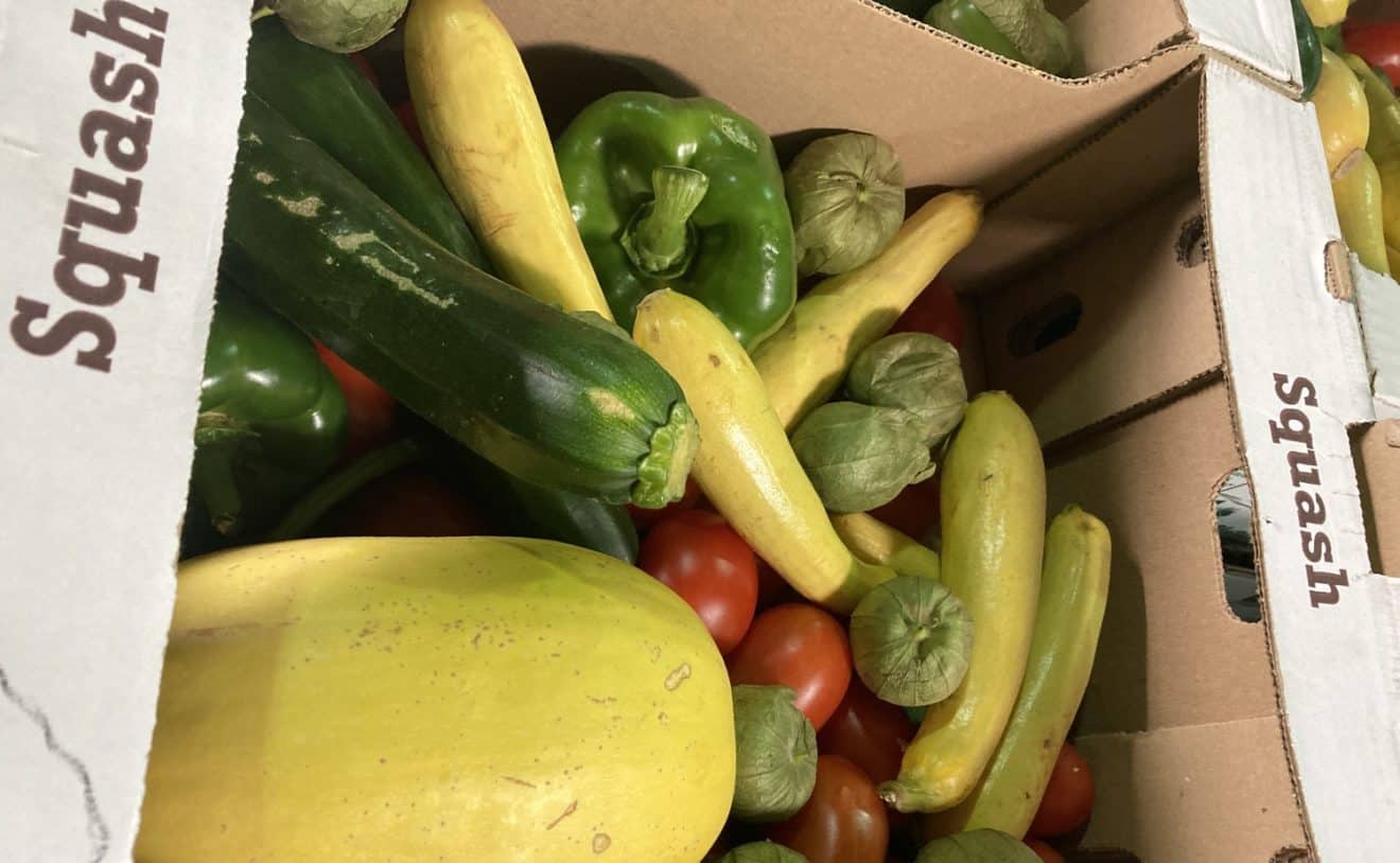 Volunteer in Tucson: Community Food Bank of Southern Arizona