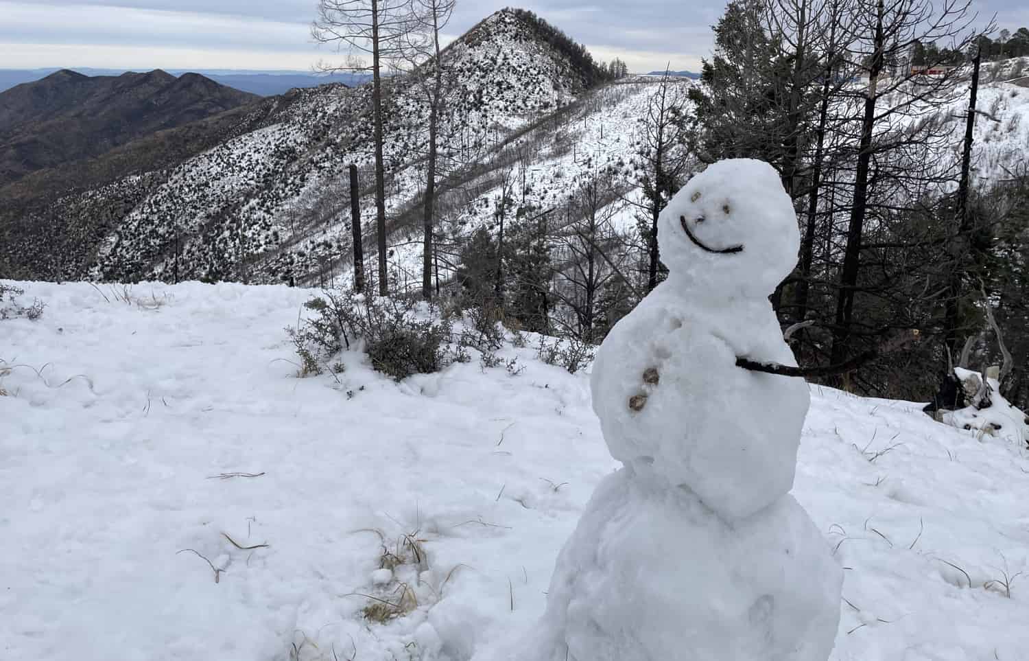 Mount Lemmon | Ultimate Guide to Tucson's Favorite Mountain! | TucsonTopia