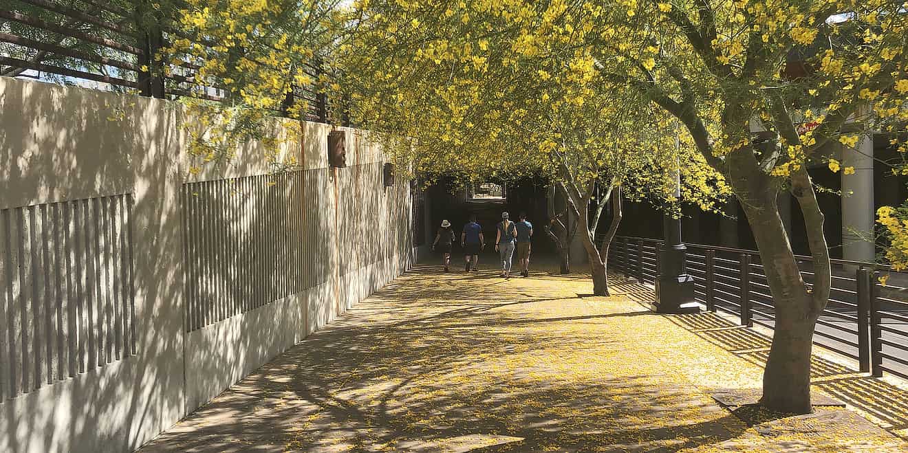 45 Reasons to Move to Tucson (or to be glad you live here!)