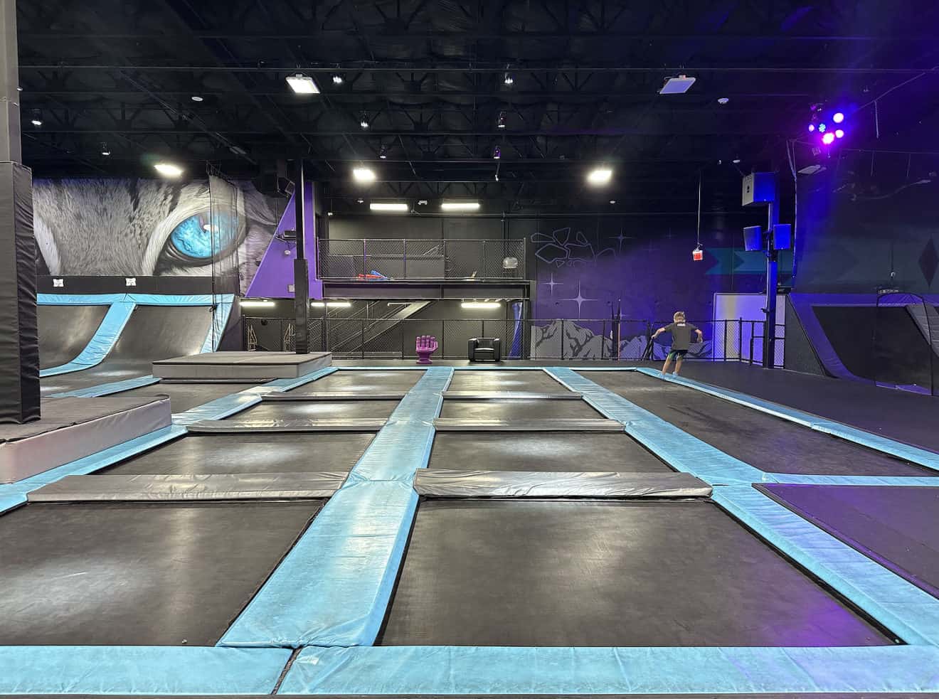 Jumping Cholla | Guide to Tucson's Largest Trampoline Park | TucsonTopia