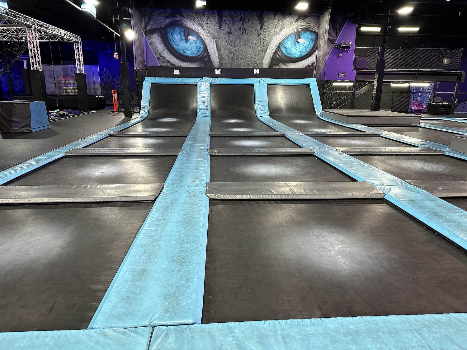 Jumping Cholla | Guide to Tucson's Largest Trampoline Park | TucsonTopia