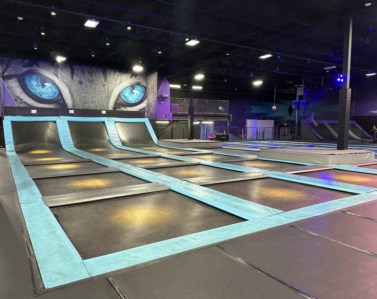 Jumping Cholla | Guide to Tucson's Largest Trampoline Park | TucsonTopia