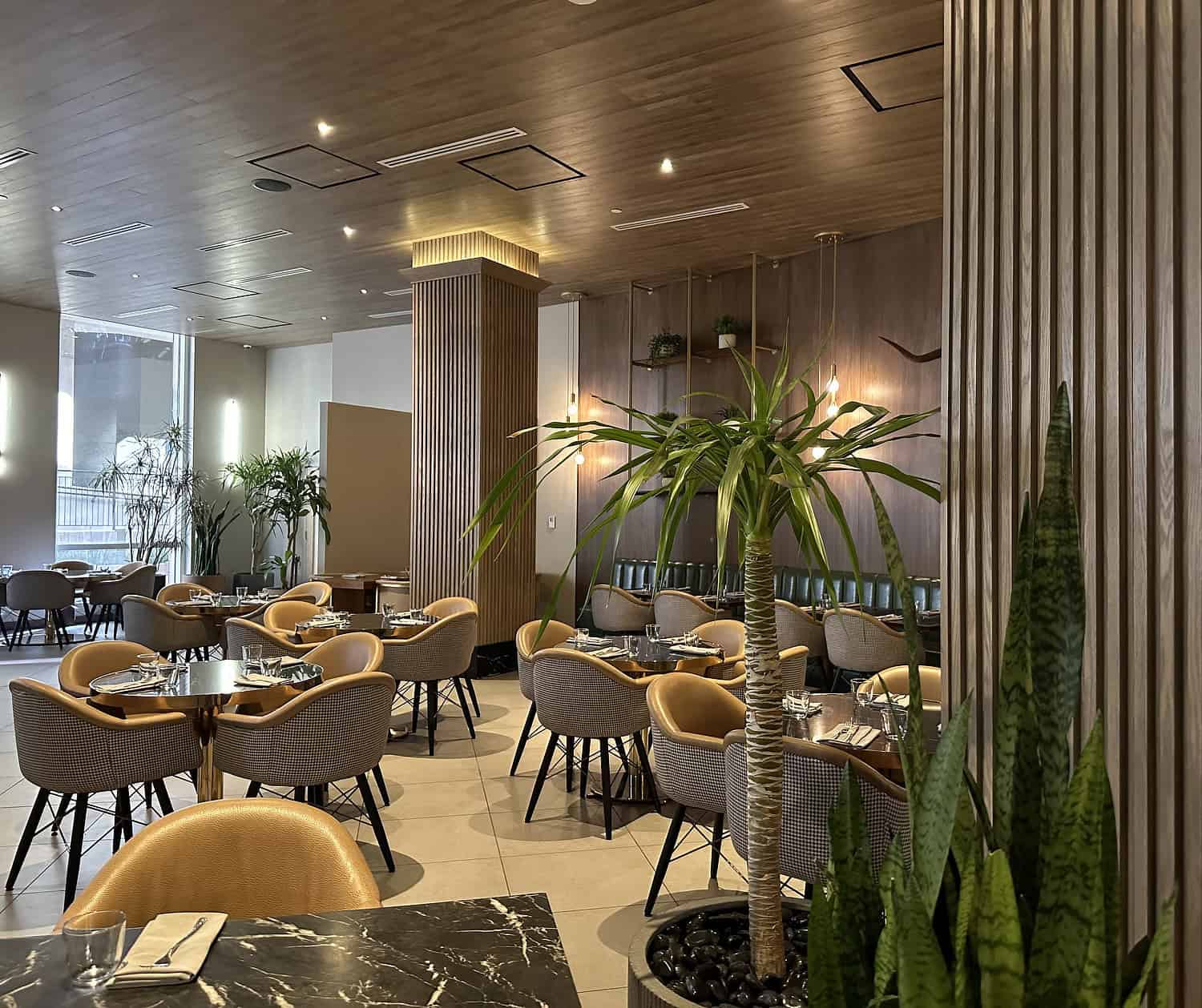 Downtown Tucson - Things to Do, Places to Eat, Memories to Make ...