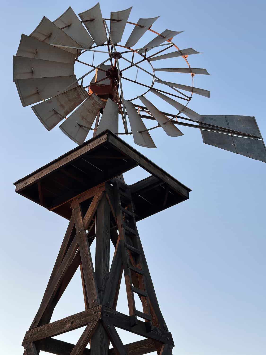 White Stallion Ranch: An All-Inclusive Vacation in Tucson | TucsonTopia